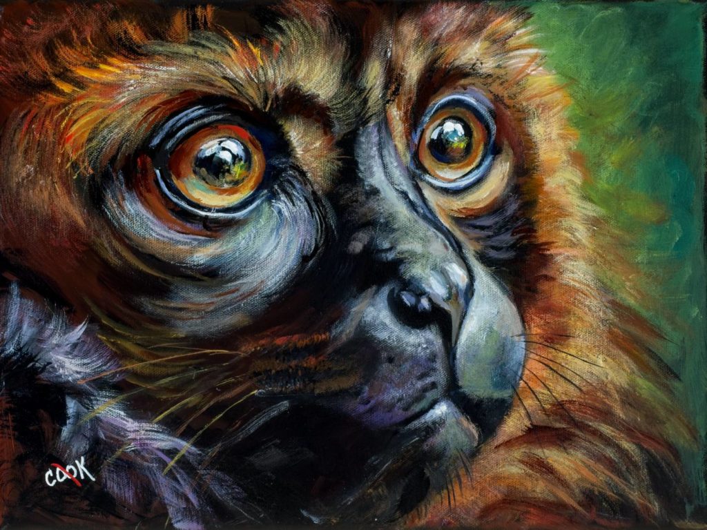 Portrait of Jax the Monkey – Introduction – Academy of Fine Art and ...